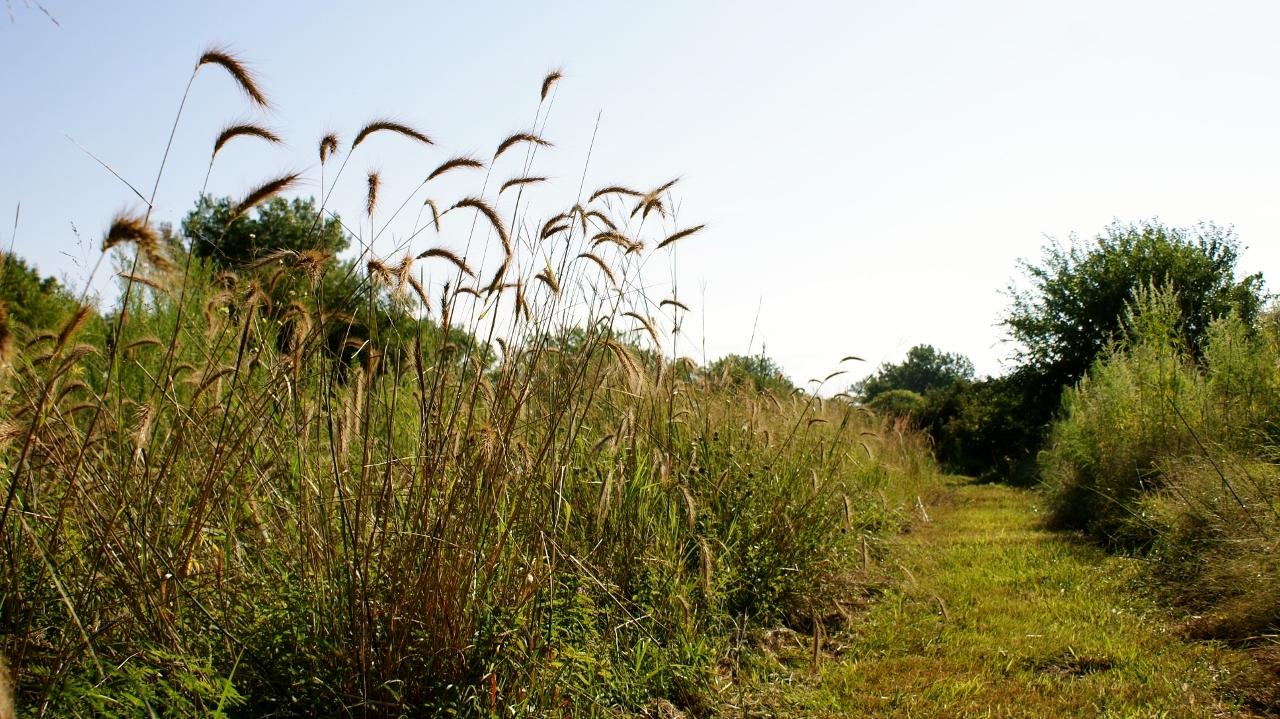 Iain Nicolson Audubon Center at Rowe Sanctuary